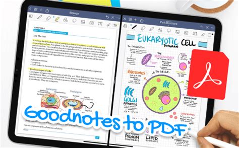 Quickly Convert Goodnotes To PDF How To Guide
