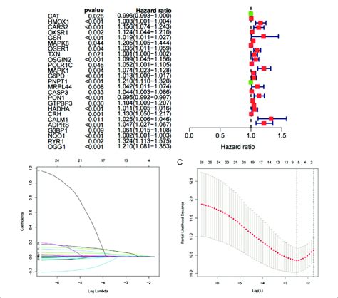 Screening Of Genes In Model Construction A Univariate Cox Regression