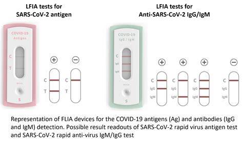 Diagnostics Free Full Text Development And Efficacy Of Lateral Flow