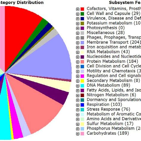 Overview Of The Rast Subsystem Categories Of Xcp 119 Genome Annotation