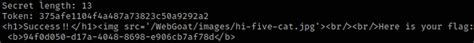 Vulnerability Discovery In Java Applications XPat Blog Red Purple Teamer