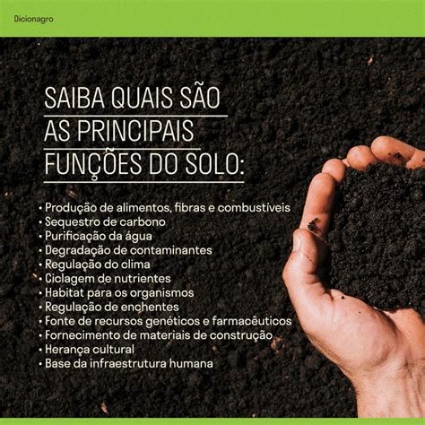 Conhe A Os Principais Tipos De Solos Do Brasil Produzindo Certo