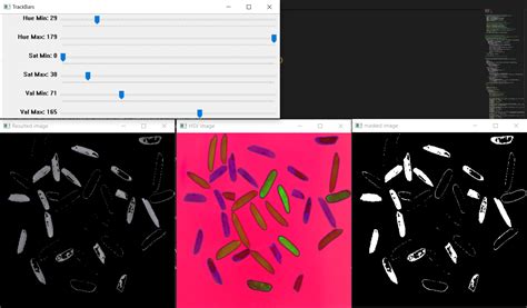 GitHub HassanBinAli Rice Disease Detection OpenCV Image Processing Methods Of OpenCV Are Use
