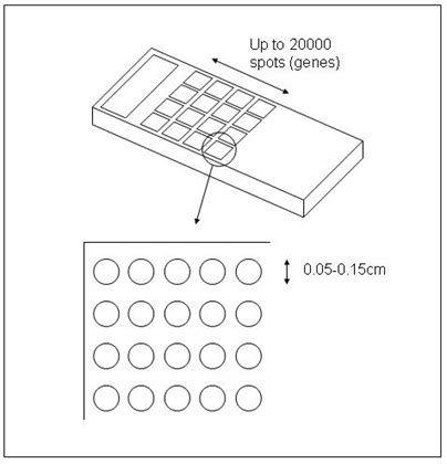 投资分析基因芯片技术及发展前景 知乎
