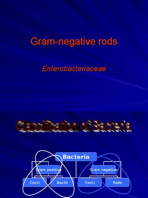 Gram Negative Rods Pdf Gram Negative Bacteria Microbiology