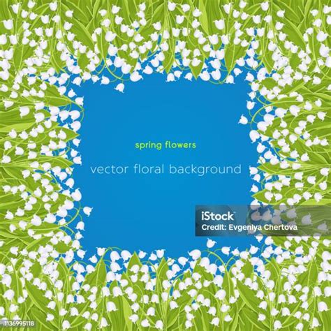 봄 꽃 계곡의 백합 원활한 국경 꽃 배너 배경 벡터 일러스트 레이 션 푸른 하늘에 흰색 싹 숲 꽃 블루 벨과 녹색 나뭇잎 0명에 대한 스톡 벡터 아트 및 기타 이미지