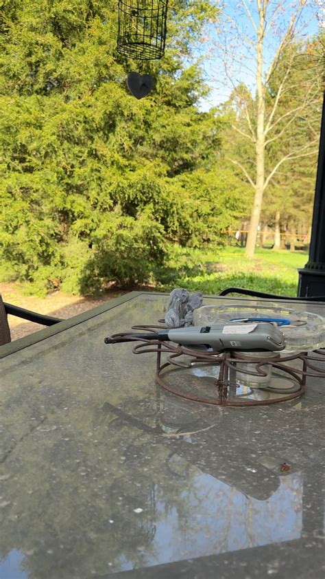 Identify This Bird Call R Birdwatching