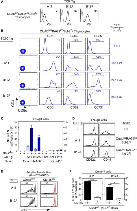 Lck Availability During Thymic Selection Determines The Recognition Specificity Of The T Cell