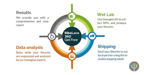 Ribolace 360 Launch 🚀 Rnaseq Alone Restricts Insights Reveal More With Riboseq