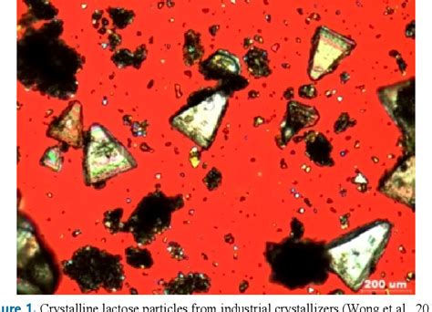 Figure 1 From Continuously Monitored Lactose Crystallization In A