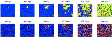 Spread Pattern Of Dengue Infection Considering Concentrated Human
