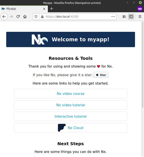 🅰️ local for angular app in nx workspace or angular cli dev