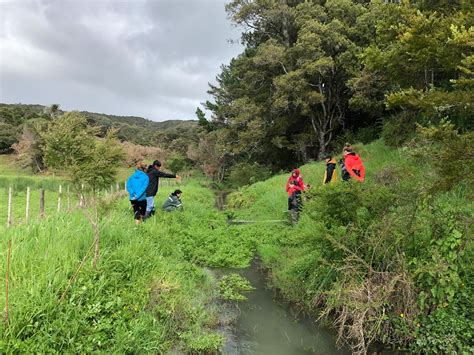 Making Community Based Freshwater Monitoring Data Count Earth Sciences New Zealand Niwa