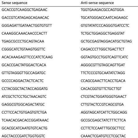 Primer Sequences For All Genes Tested Download Scientific Diagram