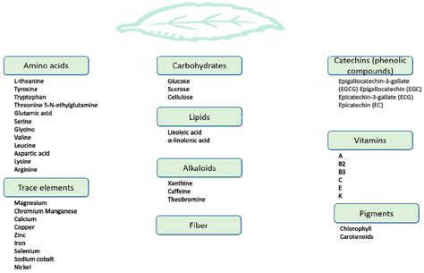 Chemical Structure Of Catechins Download Scientific Diagram
