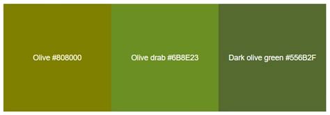 Olive Green Color Meaning Connotations And Hex Code