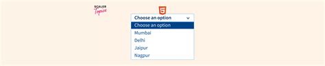 option tag in html scaler topics