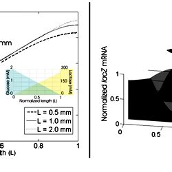 Reaction Diffusion Dynamics