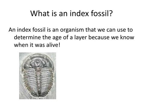 Ppt The Story Of The Earth The Principle Of Superposition Powerpoint Presentation Id4678832