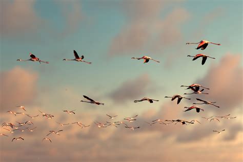 Data Migration Thinking About Using Aws Data Pipeline