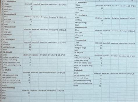 Complete A Chi Sqaure Test For Each Table