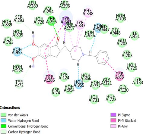 Two Dimensional Analysis Of Receptor Ligand Interaction Of The Ache