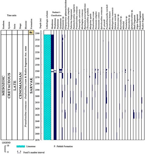 Vertical Distribution Of Foraminifera Macrofossils And Calcareous Download Scientific Diagram