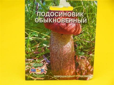 Мицелий подосиновика обыкновенного | ВетАптека - ЗооМагазин "Лапочка"