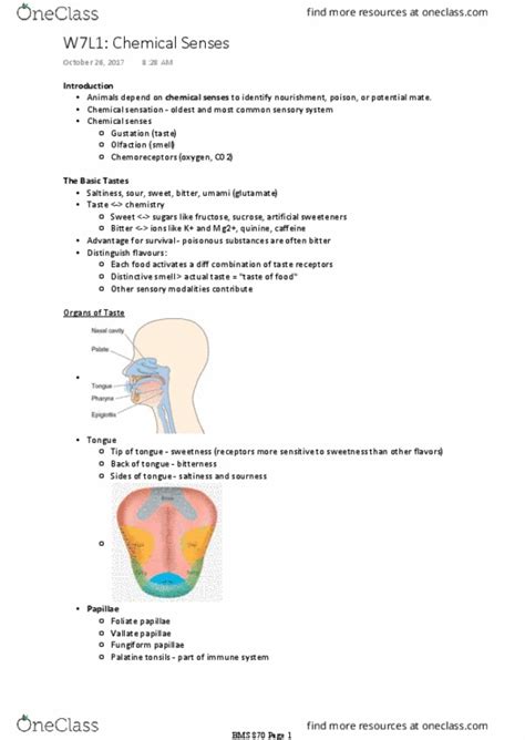 Bms 870 Lecture Notes Fall 2017 Lecture 9 Glossopharyngeal Nerve