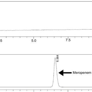 A Showing The Hplc Spectrum Of The Blank B Showing The Hplc Assay Download Scientific
