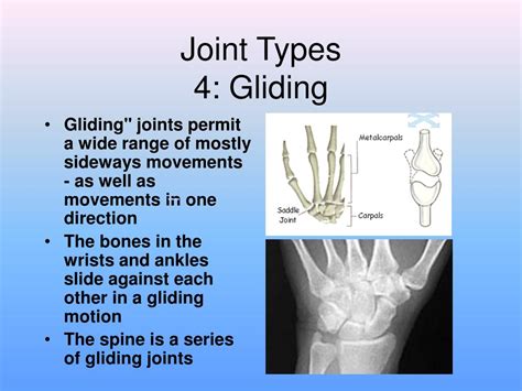 Ppt Bones And Joints Powerpoint Presentation Free Download Id 3094689
