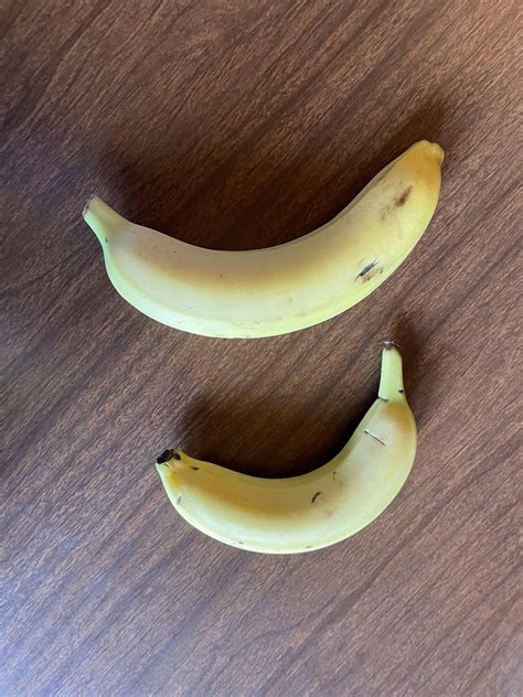 Comically Small Banana Banana For Scale R Doodoofard