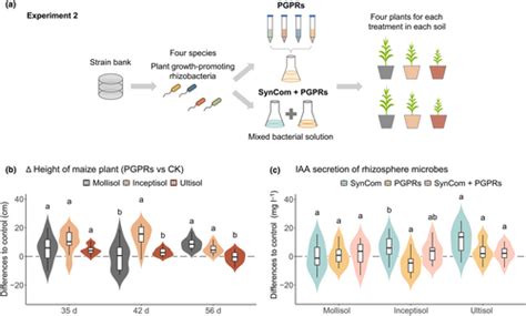 Homebased Microbial Solution To Boost Crop Growth In Lowfertility Soil Jiang 2023 New