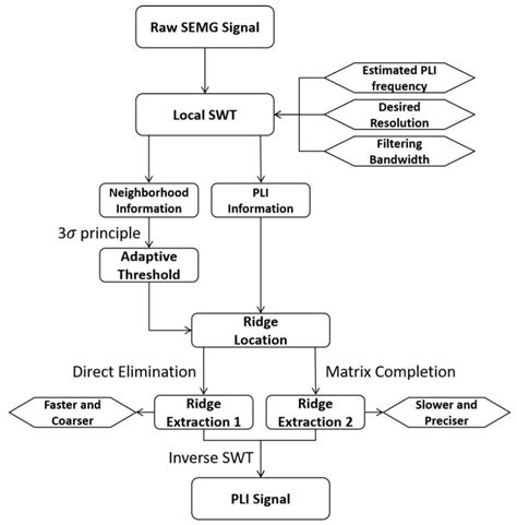 Sensors Free Full Text Reducing Power Line Interference From Semg