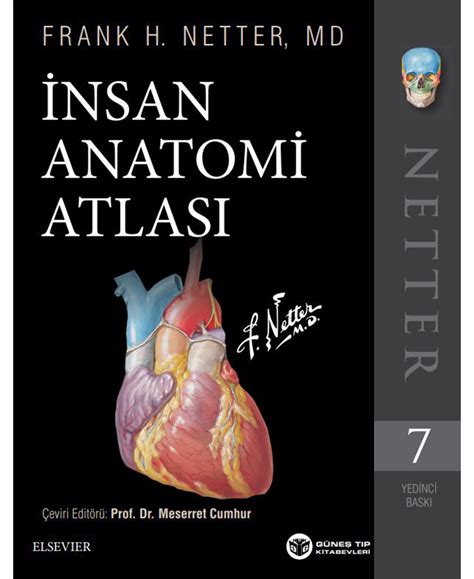 Güneş Tıp Kitabevlerinde Netter İnsan Anatomisi Atlası Detaylı Ve Doğru Görselleriyle öne Güneş Tıp Kitabevlerinde Netter İnsan Anatomisi Atlası Detaylı Ve Doğru Görselleriyle öne