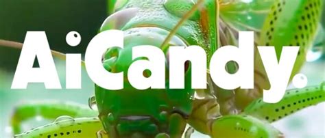 Aicandy Launches As Australias First Creative And Fully Ai Powered Film Production Company News