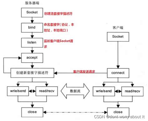 Socket实现服务器和客户端（手把手教会） 阿里云开发者社区