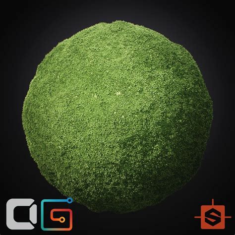 Moss Substance In Substance Designer