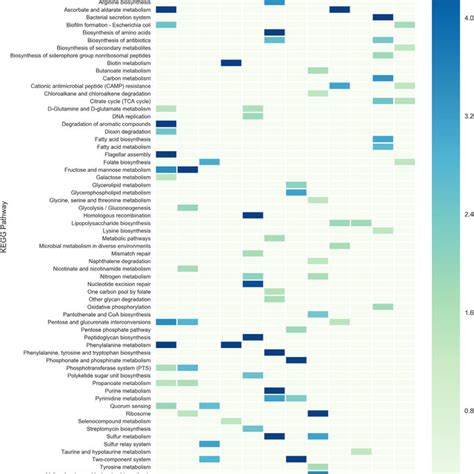 Functional Assignments Based On A Kegg B Supfam And C Pfam Download Scientific Diagram