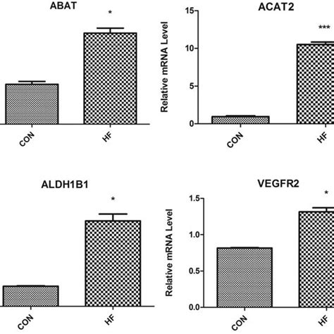 Qrt Pcr Validation Of Relative Expression Levels Of Representative