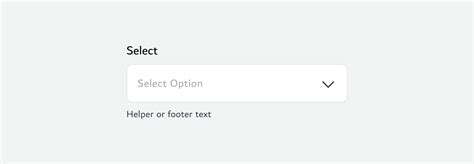 Select Input Field Dubai Design System