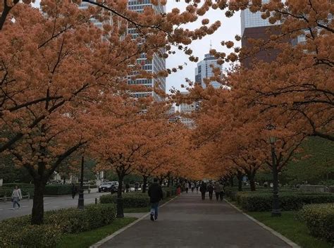 FLUX 1 Kontext Dev API By FluxAPI Ai Fast Consistent And Scalable AI Image Editing