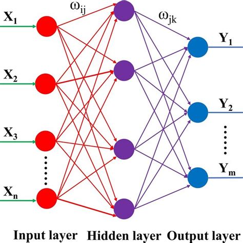 Typical Bp Neural Network Model Download Scientific Diagram