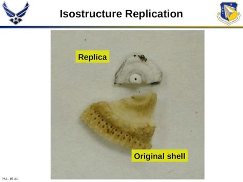 Ppt Original Shell Replica Isostructure Replication Ha Et Al Dokumen Tips