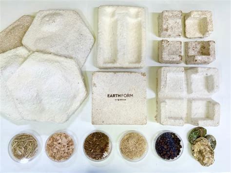 스티로폼 대체할 무공해 포장·완충재 생산