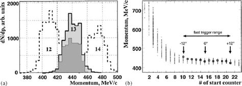 A Momentum Distribution Of Pions From P23 Gevc P þ X Reactions
