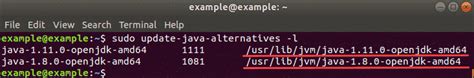 Tomcat Can T Start Tomcat After Installing It On Ubuntu Job For Tomcat Service Failed Because