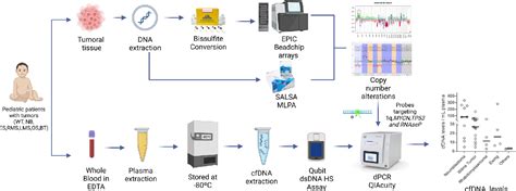 Figure 1 From Somatic Copy Number Alteration In Circulating Tumor Dna