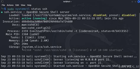 Kali 2024版本快速开启ssh服务及将系统升级至当前最新版本kali升级系统版本 Csdn博客