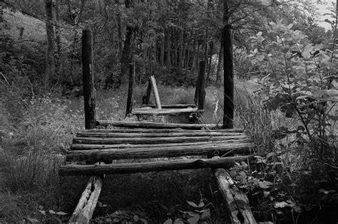 토스카나 아펜니인스 흑백 사진 높은 대비의 숲에서 스트림을 통해 오래된 울퉁불퉁 한 로그 브리지 0명에 대한 스톡 사진 및 기타 이미지 Istock